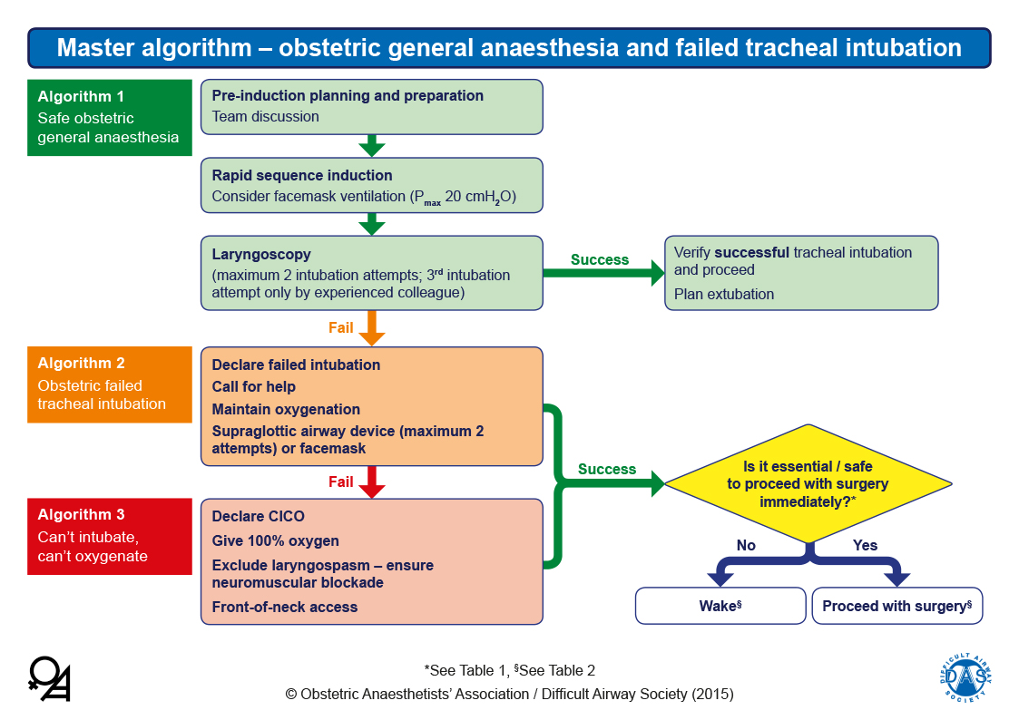 Management Of Difficult And Failed Intubation In Obstetrics Guidelines